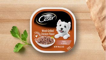 Cesar Wholesome Bowls Beef, Chicken, Carrots, Barley, & Green Beans Dog ...